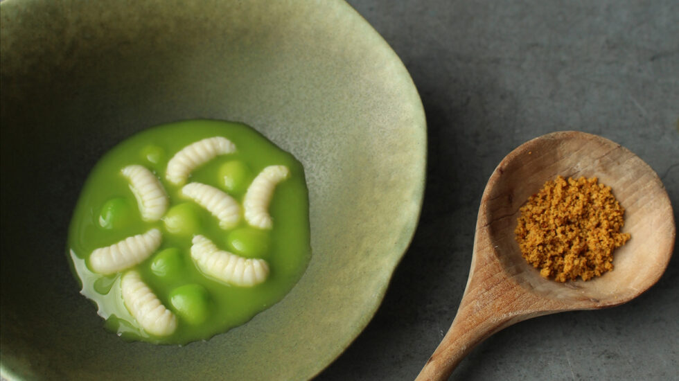 Comer insectos, clave para el futuro de una humanidad superpoblada