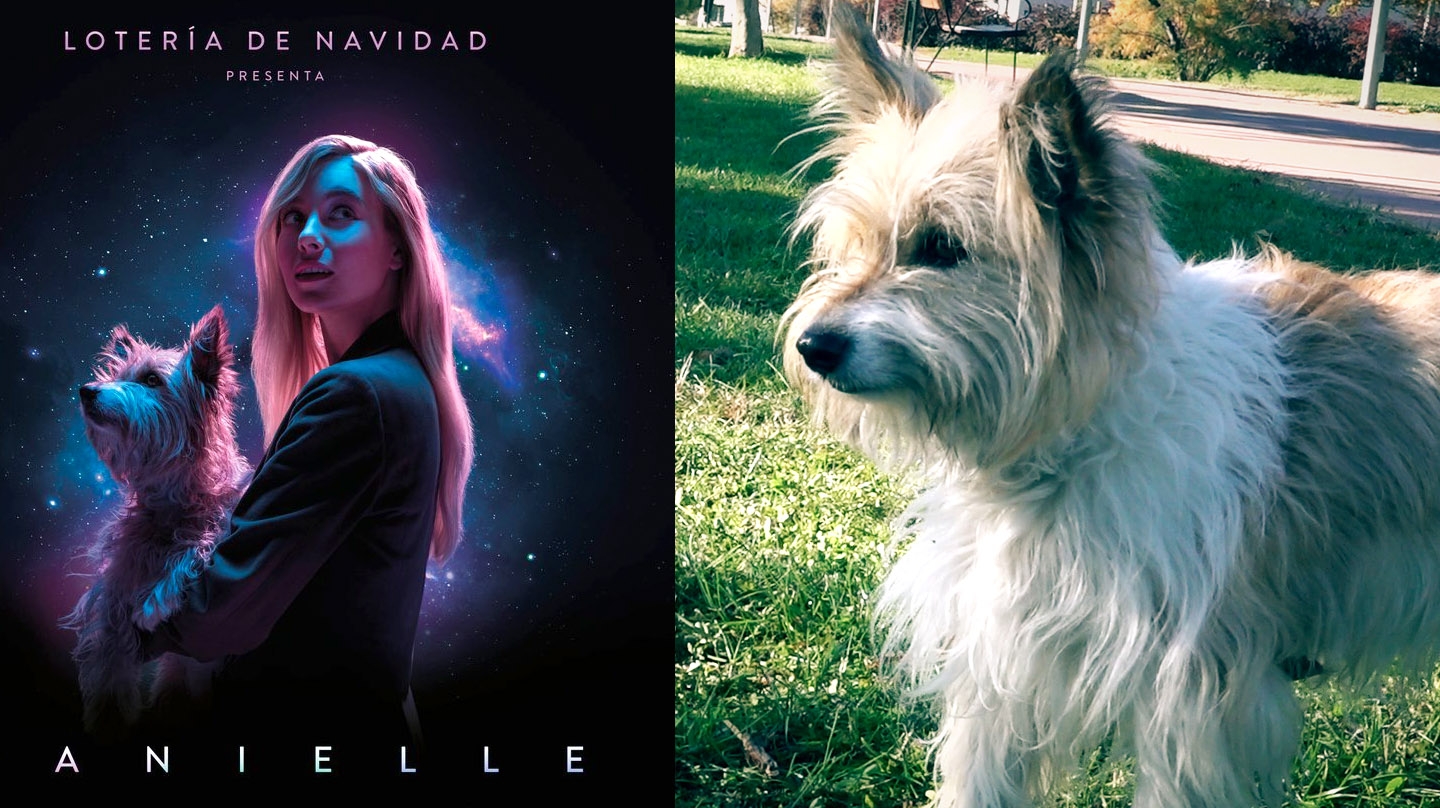 El número de Max, el perro del anuncio de la lotería de Navidad