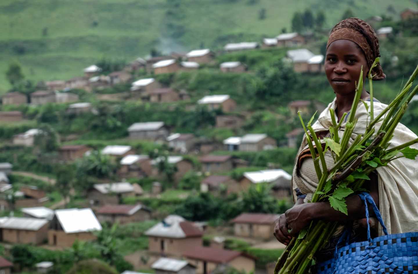 Coltán, la maldición del Congo – Kaos en la red