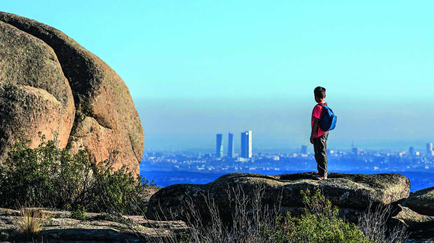 Libros que cuidan el medio ambiente