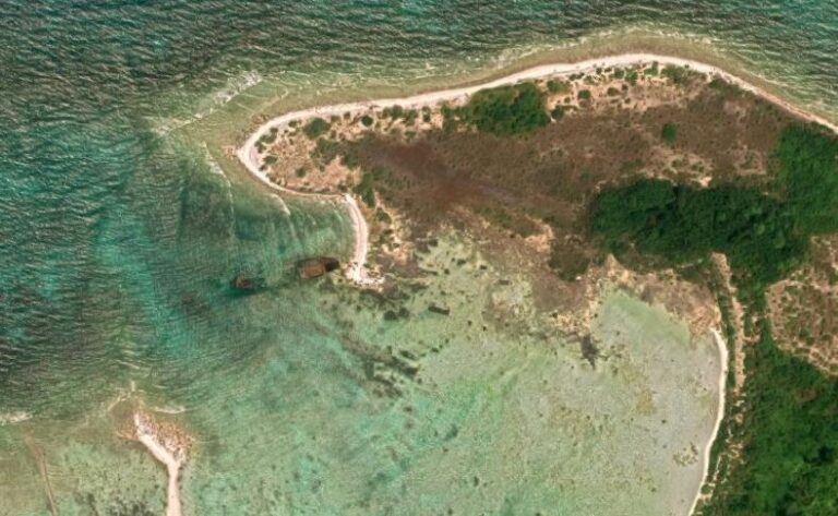 Trilokinath Pandit: El antropólogo arrepentido que sobrevivió a ...