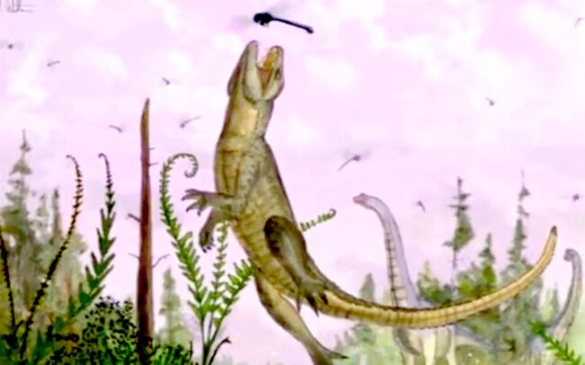 Nuevo dinosaurio titánico del Cretácico con cola de corazón