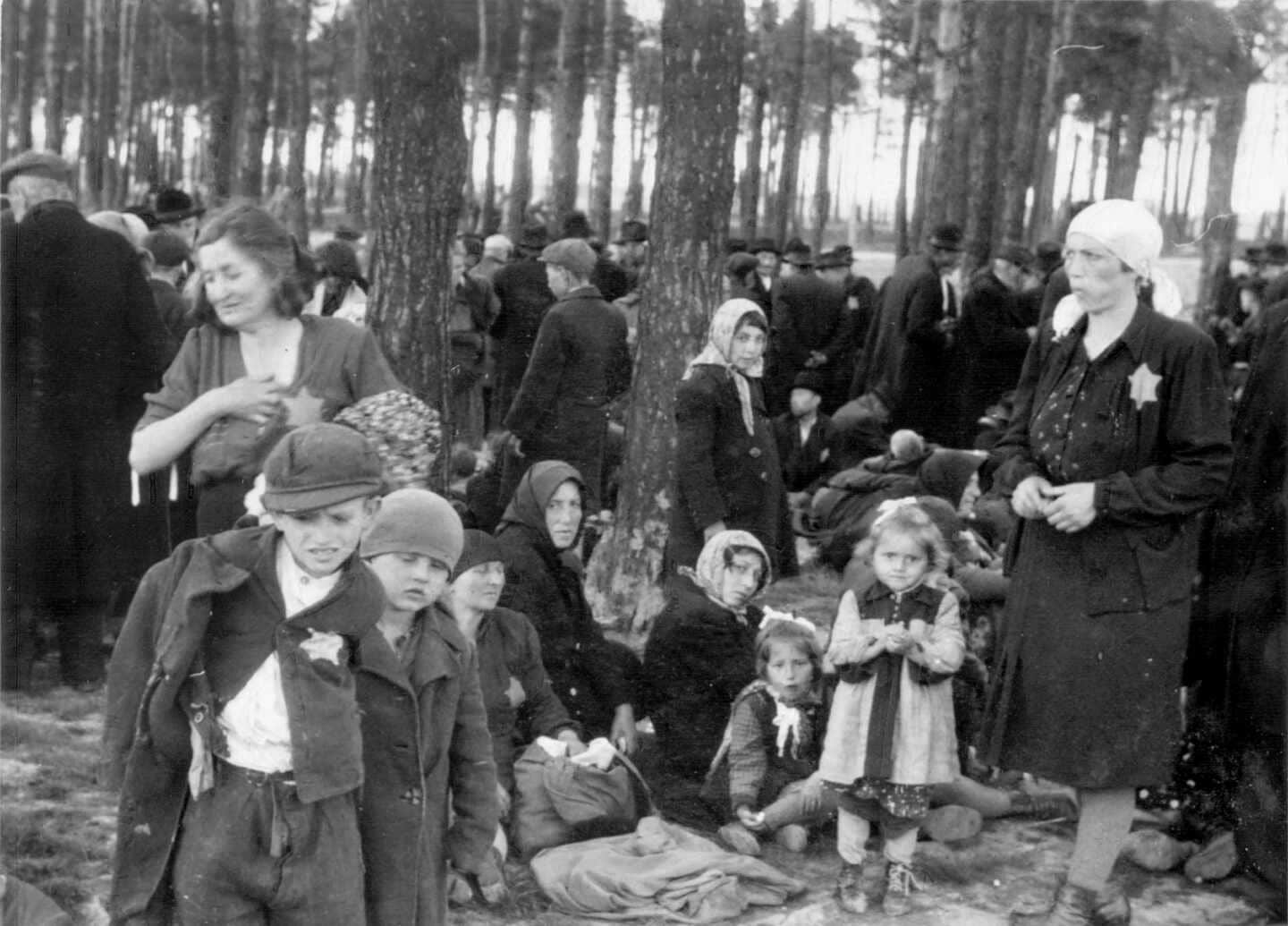 Las fotos de Auschwitz, la evidencia del horror
