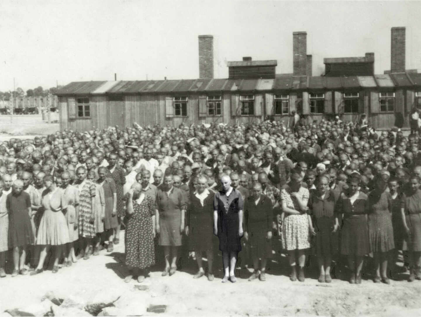 Las fotos de Auschwitz, la evidencia del horror