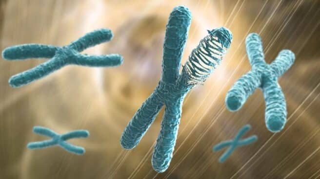 El mayor estudio genético del cáncer abre la vía para detectarlo antes ...