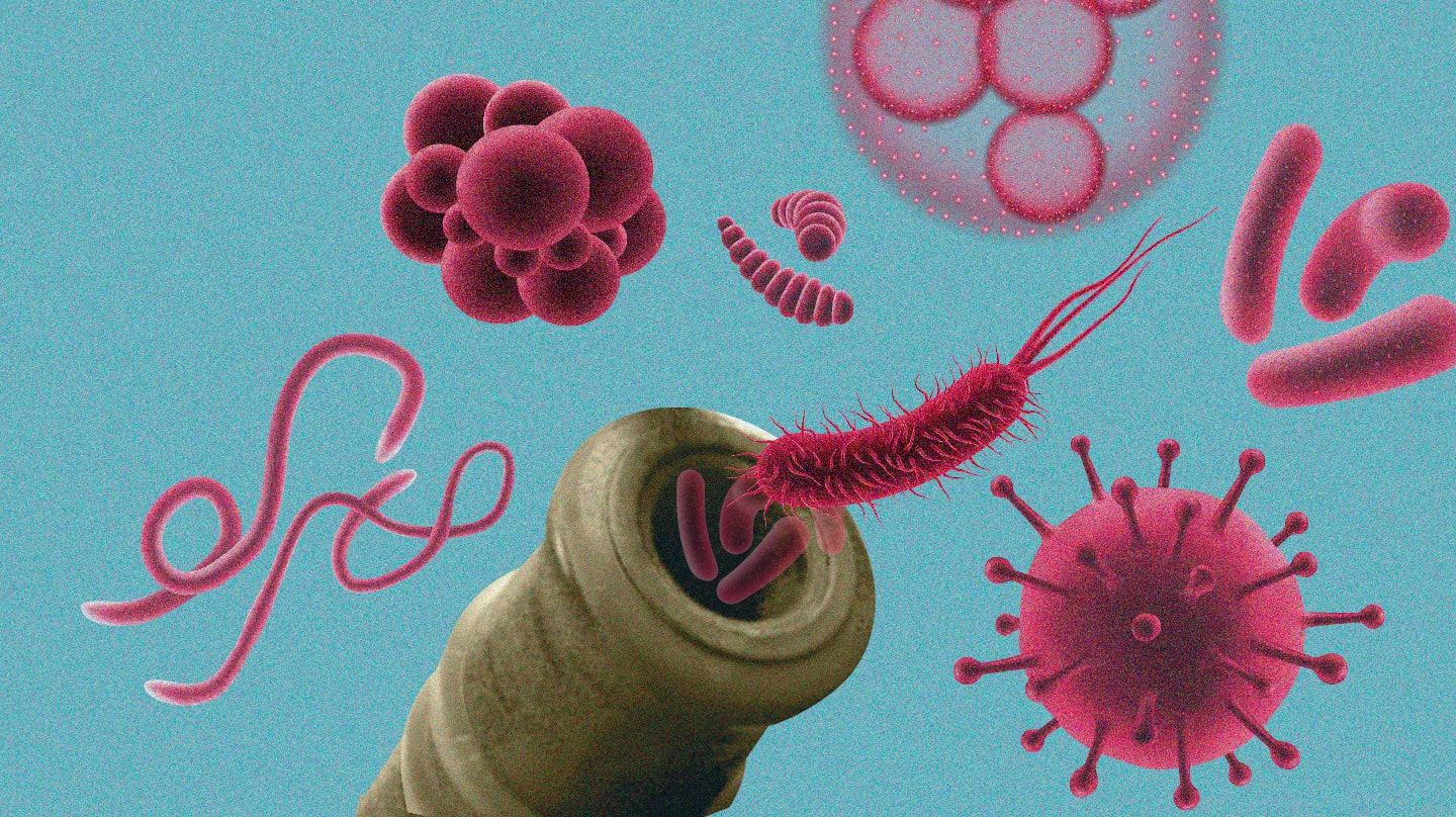 De las enfermedades emergentes al bioterrorismo: un mundo bajo la ...