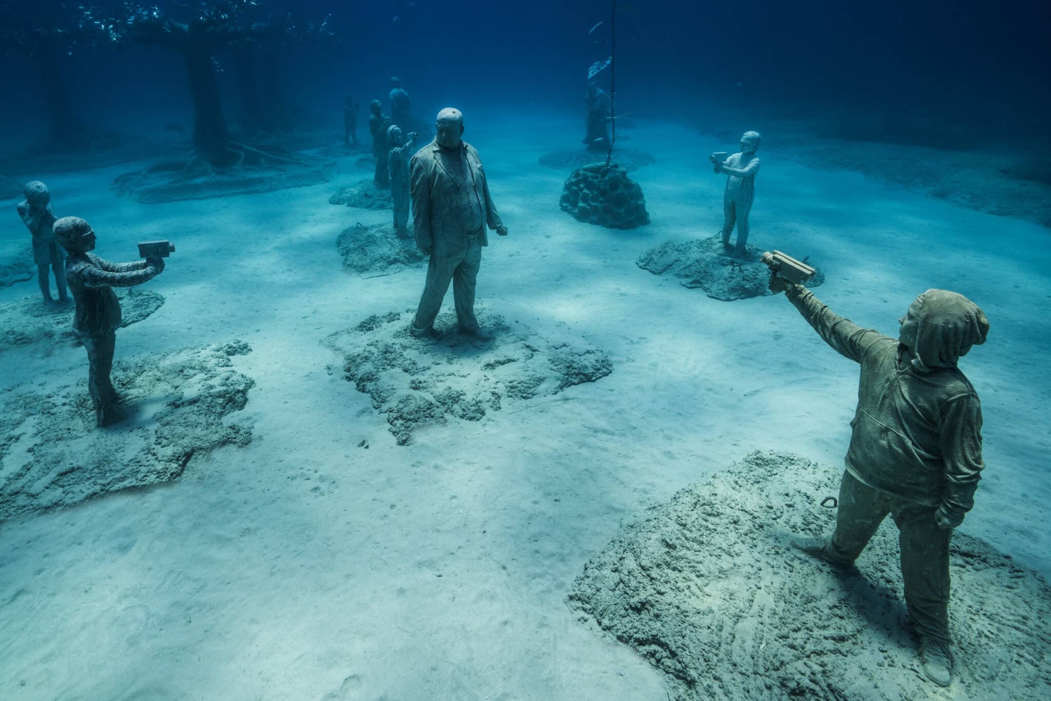 Un bosque en la profundidad del Mediterráneo: así es el Museo ...