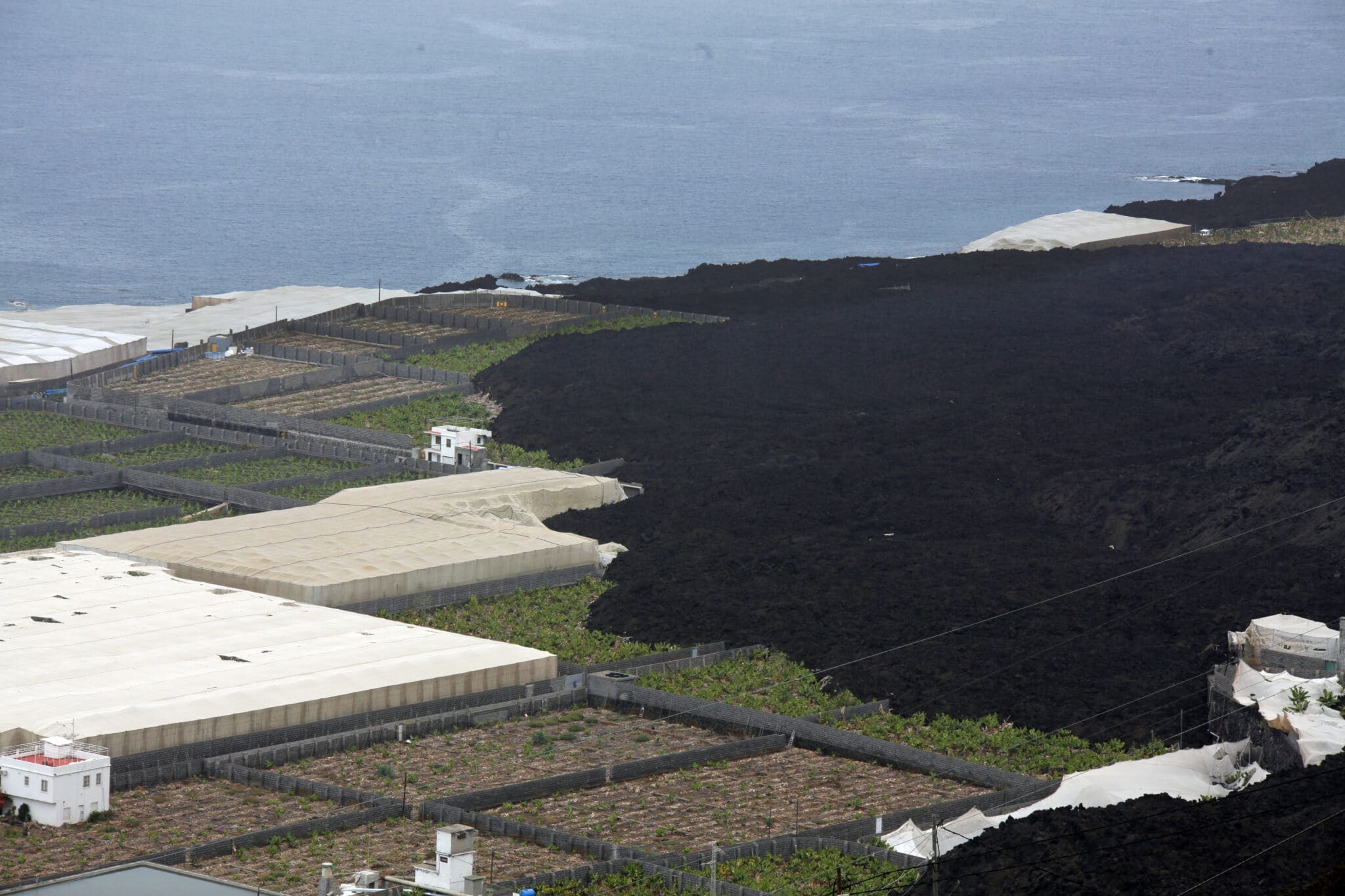 Plataneras sobre el malpaís, aniversario del volcán de La Palma