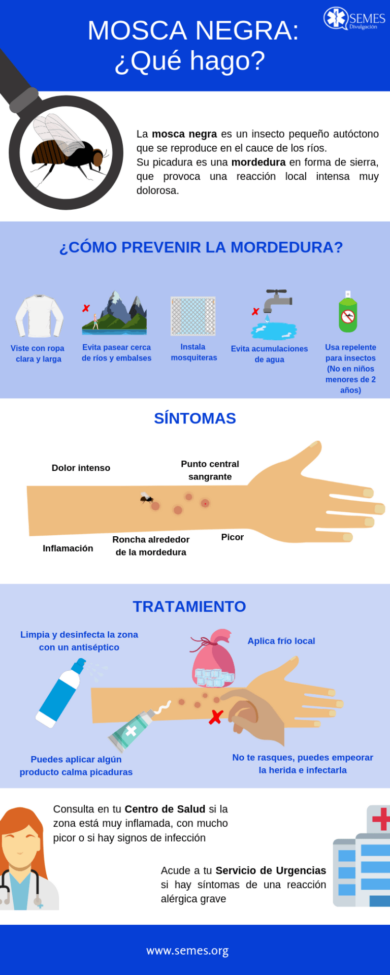 ¿Cómo es la picadura de la mosca negra? Síntomas y remedios
