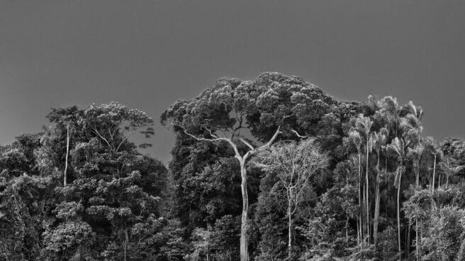 'Amazônia', de Sebastião Salgado toma Madrid