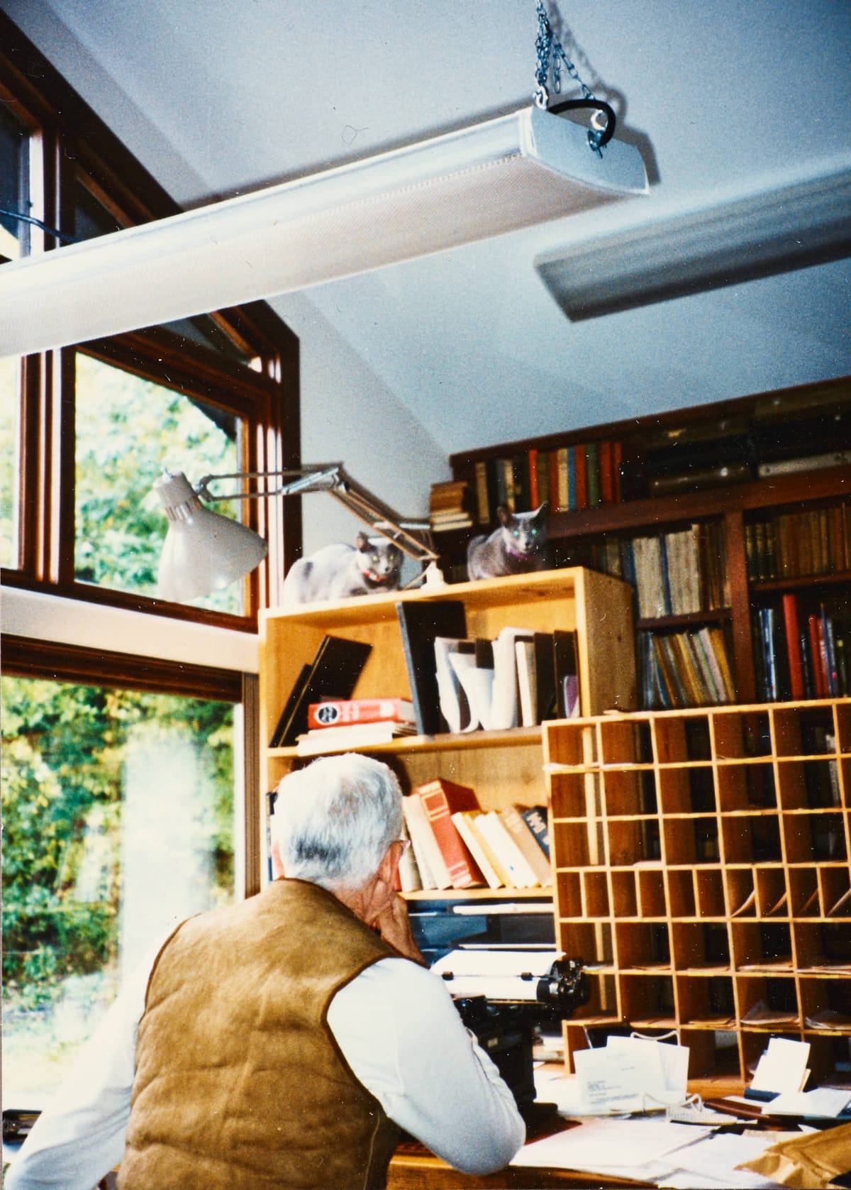 El eterno misterio del legado de Salinger