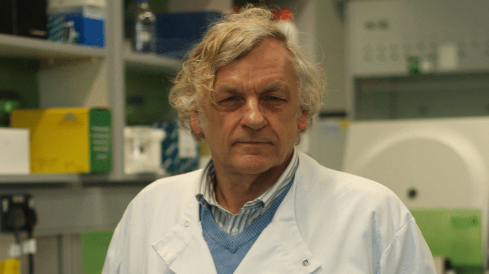 Descubren que hay dos tipos de cáncer de próstata: "Salvará miles de vidas"