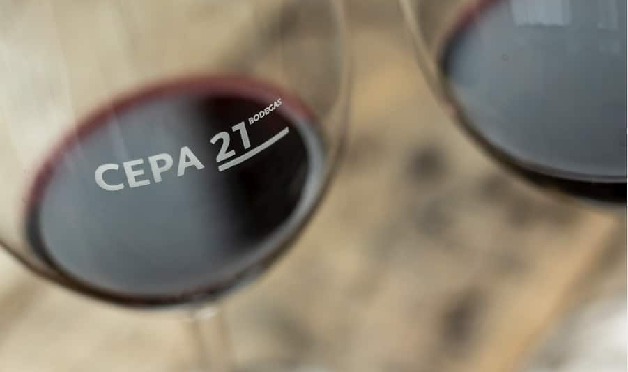 Así es la bodega Cepa 21