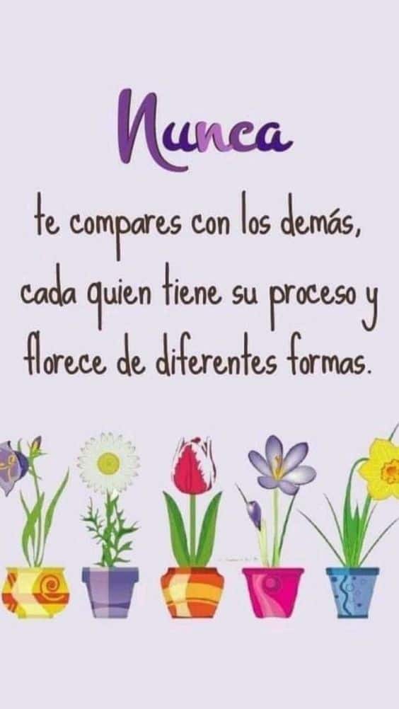 Frases para celebrar y dar la bienvenida a la primavera