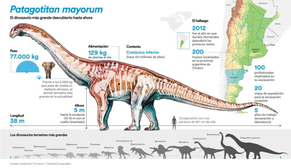 As Era El Dinosaurio M s Grande Del Mundo y Su Depredador 