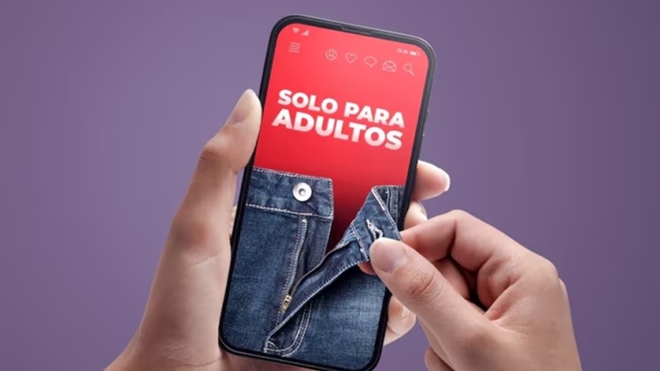 Cartera Digital Beta, la app control de edad limitar acceso al porno