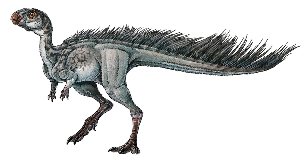 Así era el dinosaurio más grande del mundo (y su depredador)