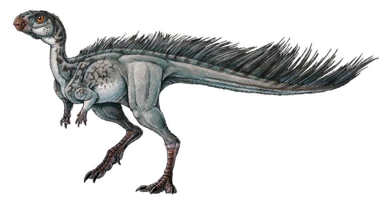 Así era el dinosaurio más grande del mundo (y su depredador)