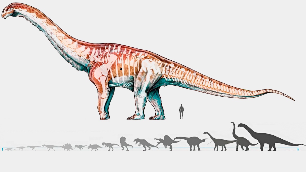 As Era El Dinosaurio M s Grande Del Mundo y Su Depredador 