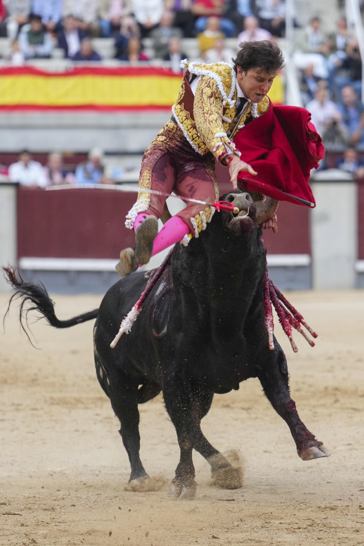 Roca Rey sufre una cogida en su primer toro en la Feria de Otoño de Las ...