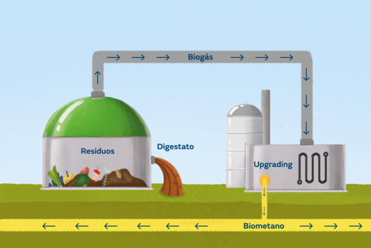 Naturgy: liderazgo sostenible hacia un futuro sin emisiones