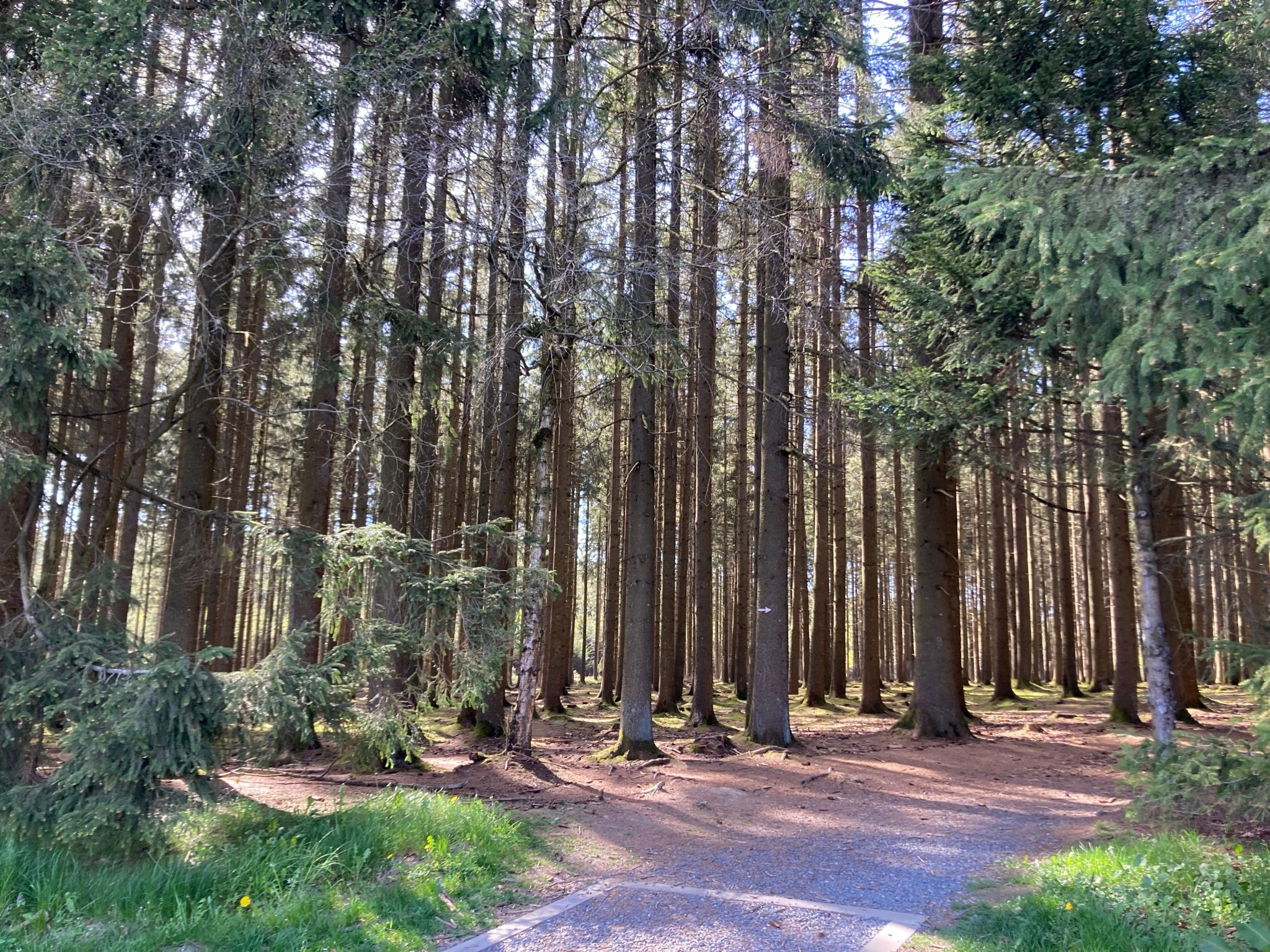 Ruta por la última gran ofensiva de Hitler