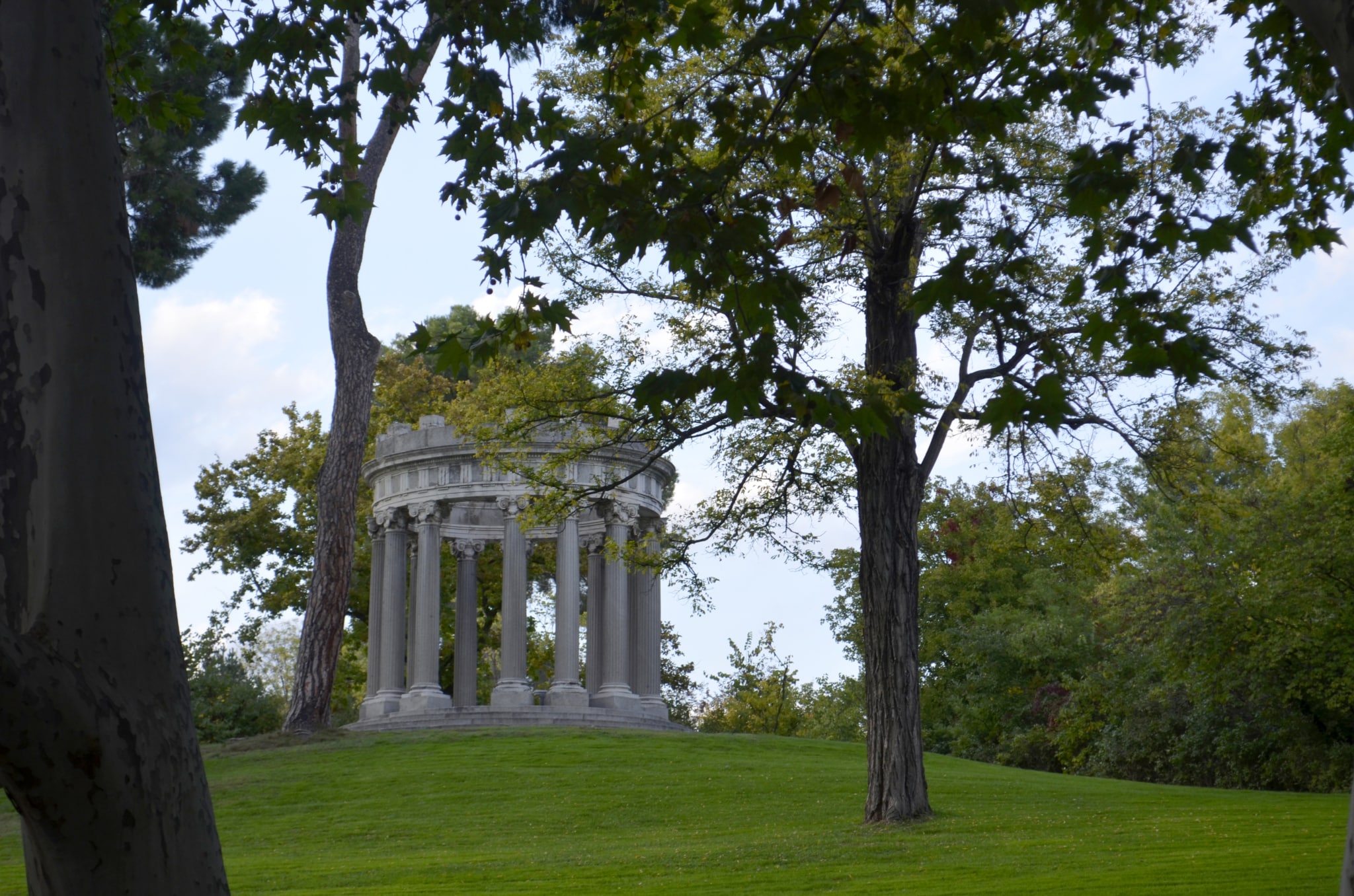 La mujer que plantó 5.000 árboles en el Retiro sin que nadie se enterara