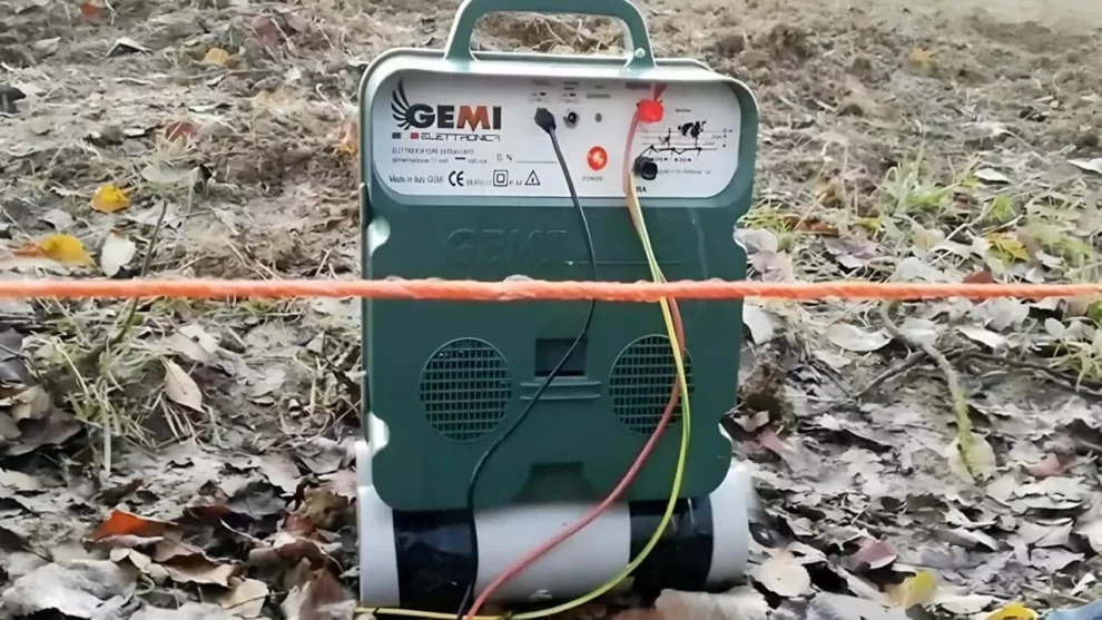 Pastores El ctricos La Soluci n Integral Para La Protecci n De Tu